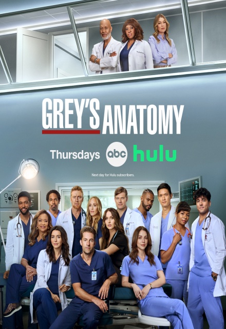 Grey's Anatomy - season 22, episode 11: (If You Want It) Do It Yourself ...