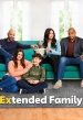 Extended Family on NBC | TV Show, Episodes, Reviews and List | SideReel
