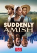 Suddenly Amish on TLC | TV Show, Episodes, Reviews and List | SideReel